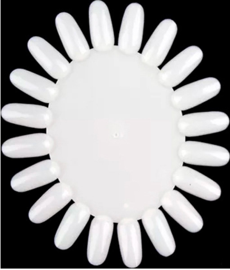 Colour Wheel Display Natural — NSI NZ Ltd