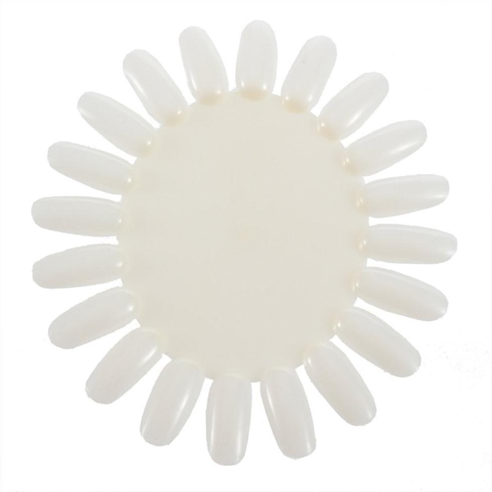 Colour Wheel Display Natural — NSI NZ Ltd